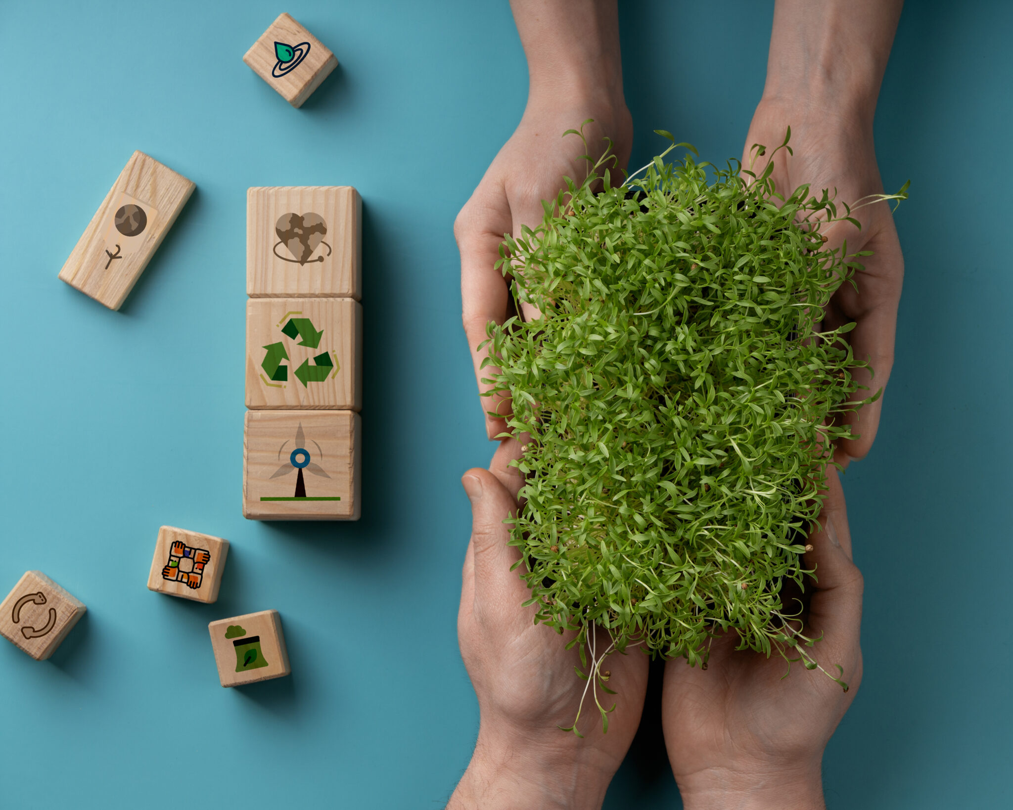 Sourcing - Compass Group India